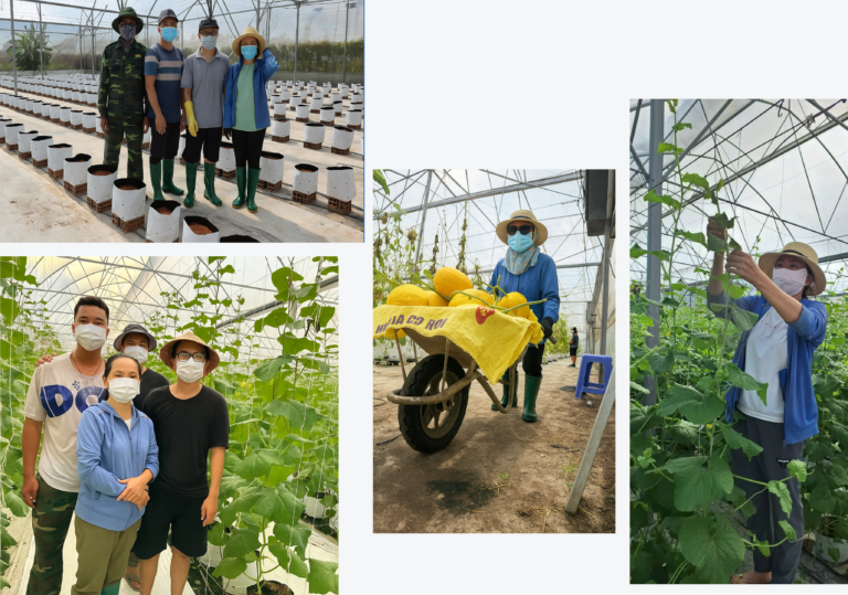 “CÚ ĐÚP” VISA 482 NGÀNH FARM MỞ ĐẦU THÁNG 7 – CHÚC MỪNG ANH T & CHỊ H ...